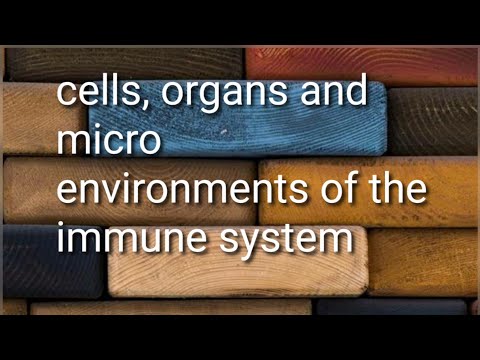 Hematopoietic stem cells