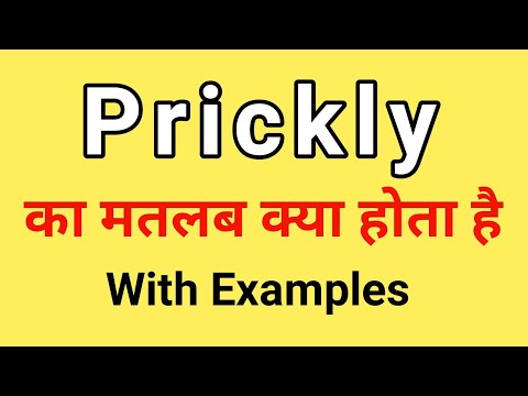 Prickly Meaning in Hindi | Prickly ka Matlab kya hota hai | Word Meaning English to Hindi