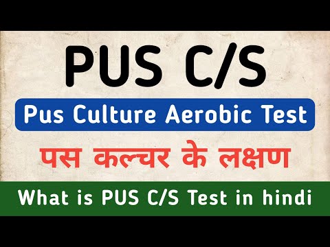 Pus C/S Test in hindi | Pus Culture Test in hindi | Symptoms of PUS C/S | Pus Culture Aerobic Test