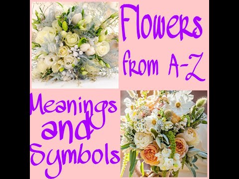 The Flowers Meaning and Symbols part 1