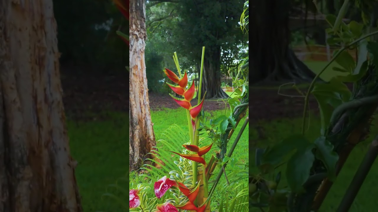 FRESH LOOK EXPO 2025