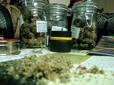 volcano bud smkin some Licorice bud in the valcano