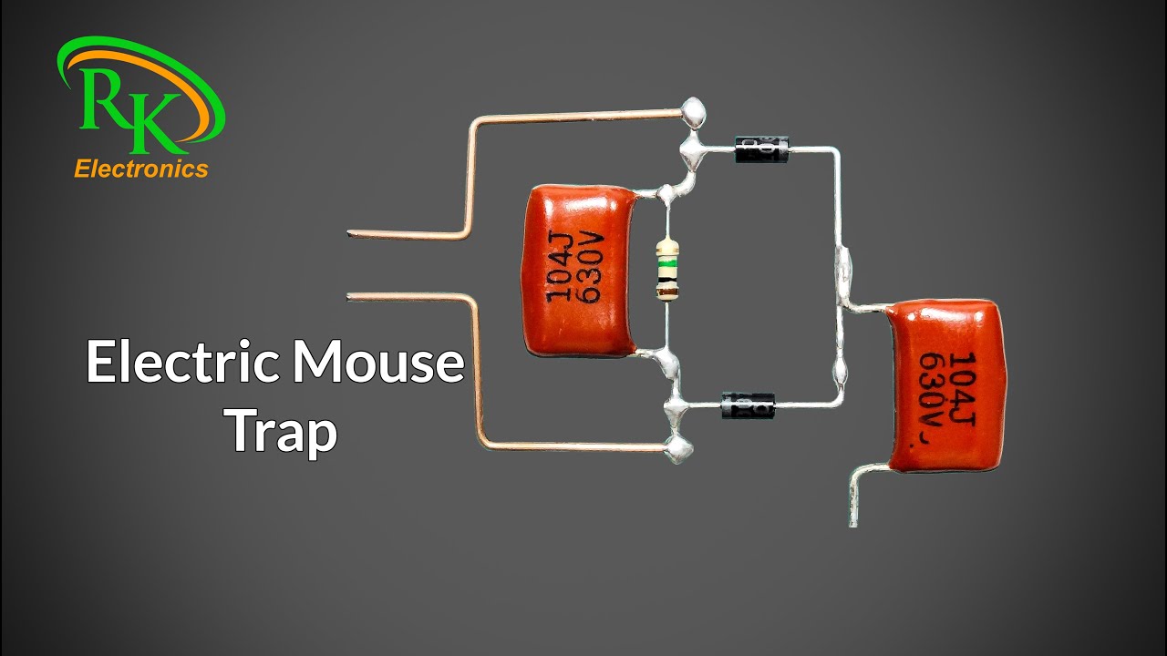 How to Make Electric Mouse Trap | Best Electric Mouse Trap | Electronic Rat Trap