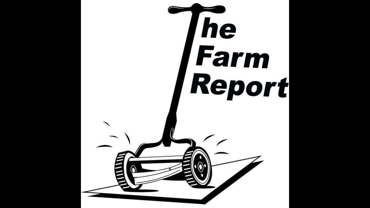 Episode 235: Exploring Animal Welfare