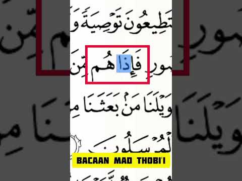 BACAAN MAD THOBI'I