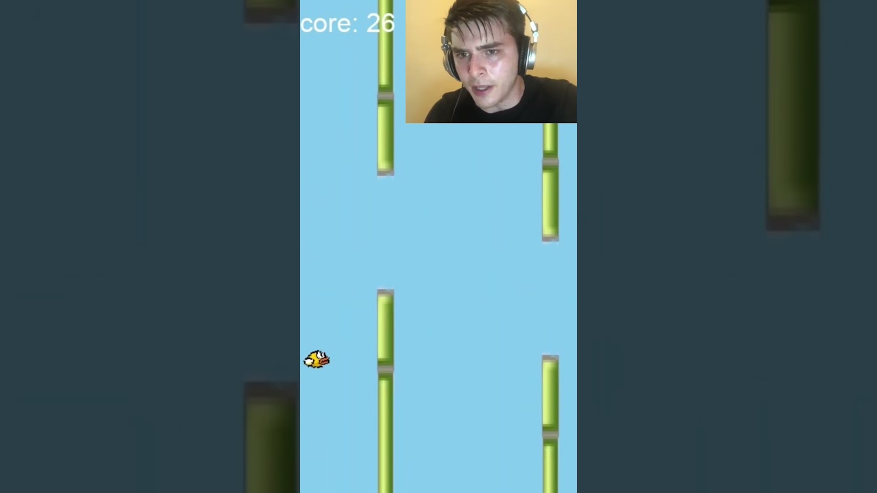 I made flappy bird clone #coding #python #pygame #code #programming