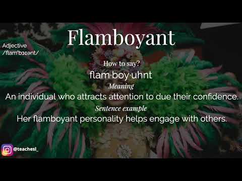 How to say and use flamboyant?