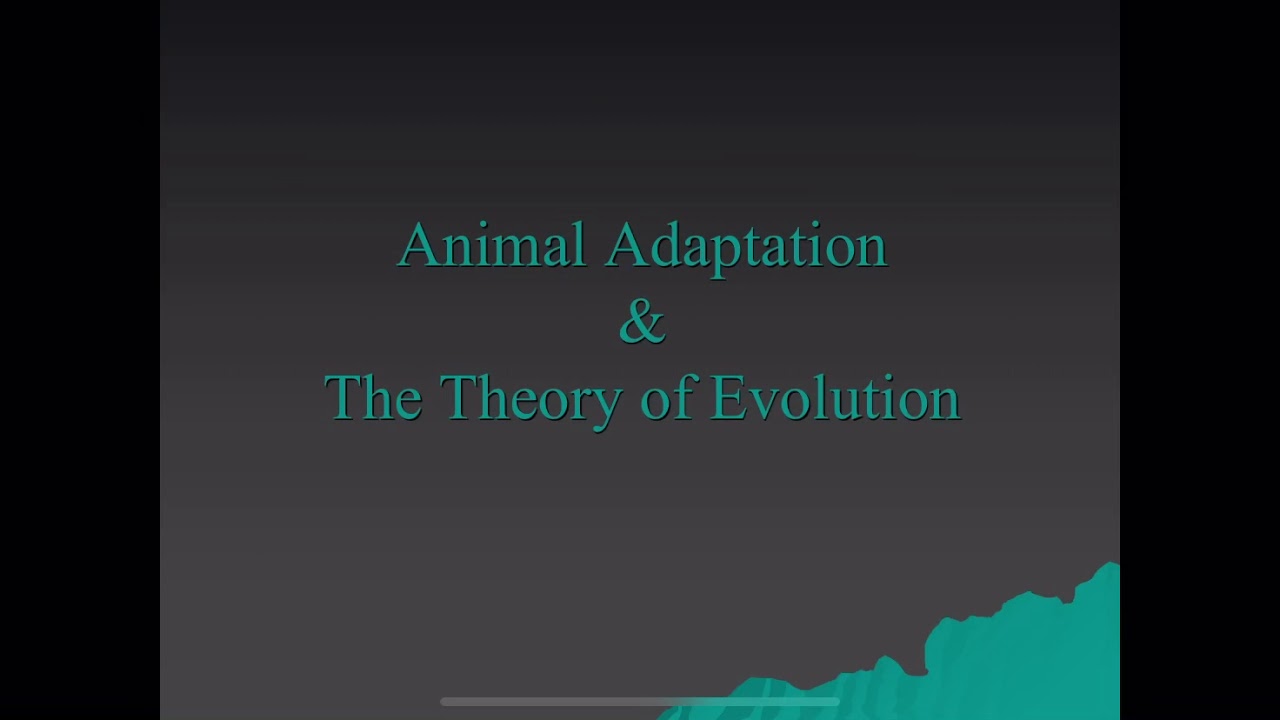 Evolution and Adaptation Powerpoint Walkthrough