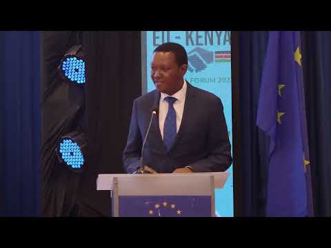 Quick summary of the EU-Kenya Business Forum 2023