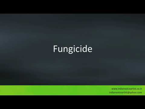 Pronunciation of the word(s) "Fungicide".