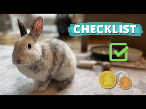 How Much Do Rabbits Weigh - Rich- Farmer
