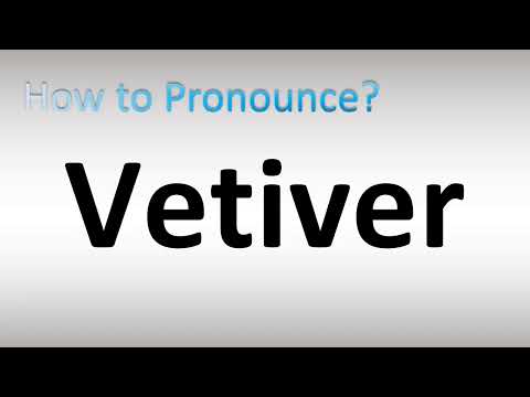 How to Pronounce Vetiver