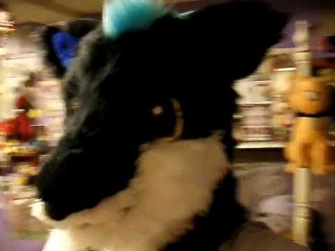 Furry Test