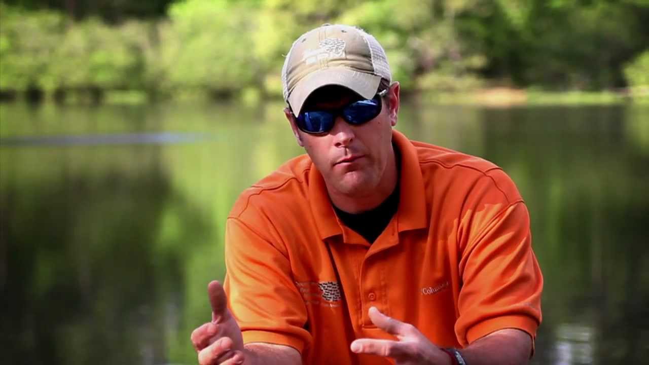 Stocking Tilapia