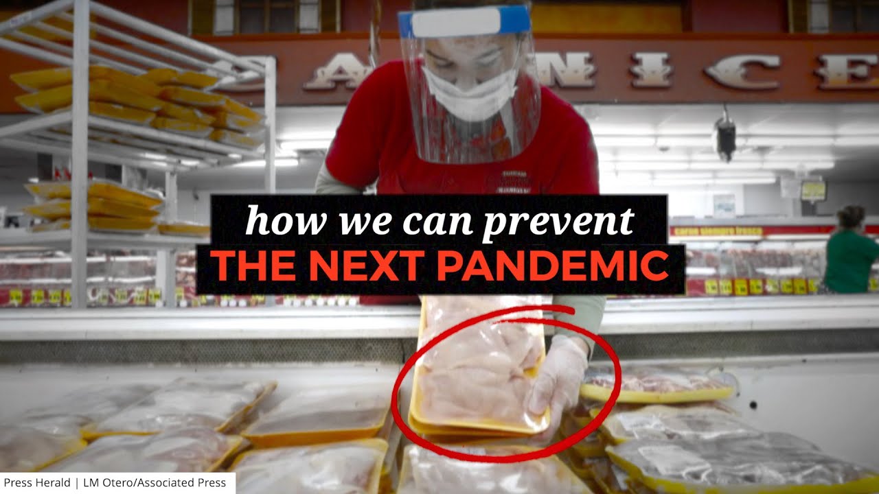 How can we prevent the next pandemic? | The Humane League