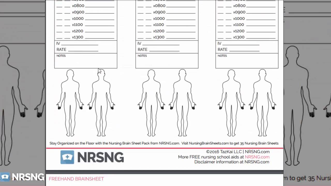 Nursing Brain Sheets Database [Free Download] (templates of brainsheets an report sheets for nurses)