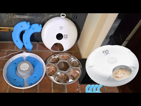 Casfuy Automatic Cat Feeder Cordless, Cat-Dog Food Dispenser