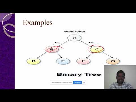 Types of Binary Trees in Data Structures