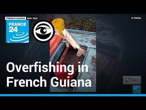 This fisherman is documenting the foreign boats fishing in French Guiana's waters • The Observers
