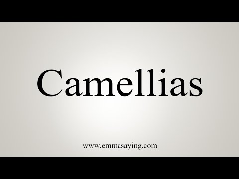 How To Say Camellias
