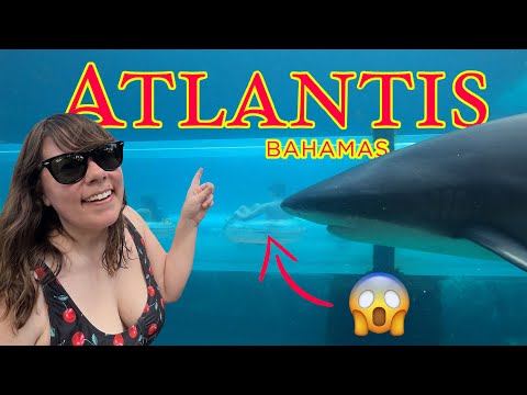Atlantis Bahamas - This Water Park is CRAZY!