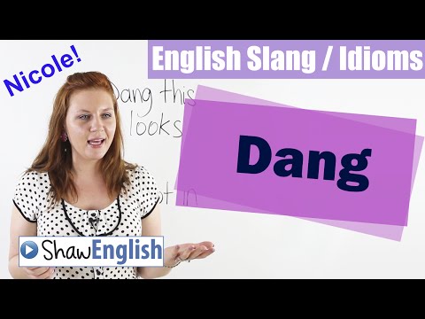 English Slang / Idioms: Dang
