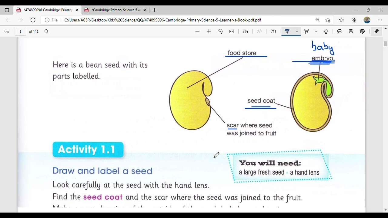 Cambridge Primary Science 5 Activity Book pdf and 1 more page   Personal   Microsoft​ Edge 2022 03