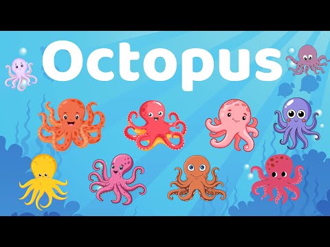 Amazing Octopus Facts for Kids | Octopus Facts That Will Blow Your Mind!