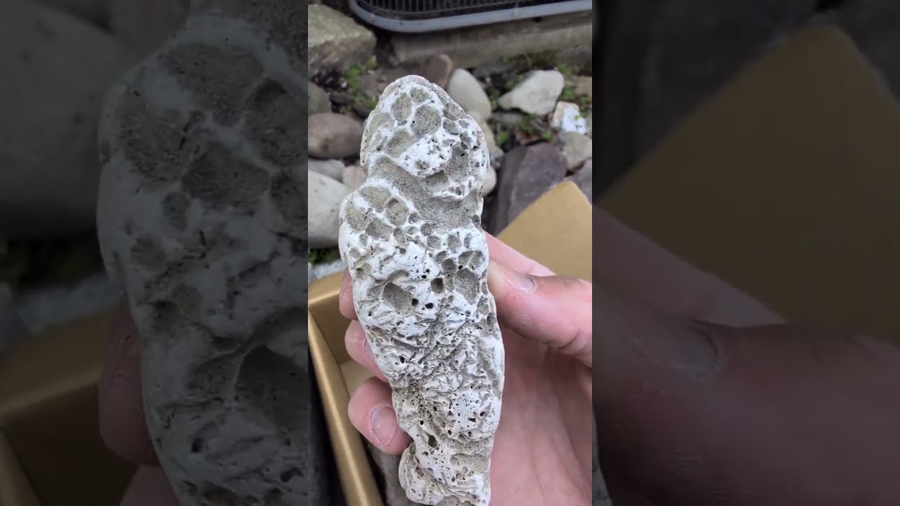 Rock Collection Box #1