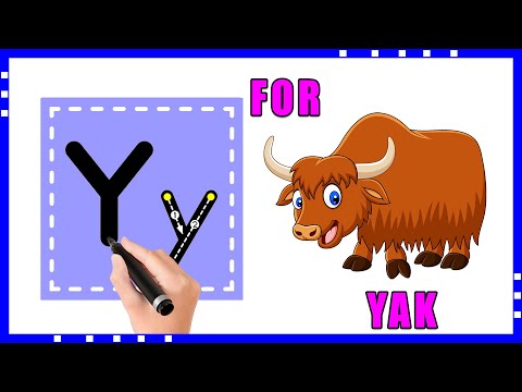 5 Words From Y | Tracing Letter Y | Educational Videos For Kids