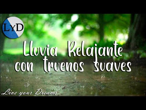 8 Horas de Sonidos de Lluvia y Truenos: Sonidos de la Naturaleza para Dormir, Relajarse, Estudiar HD