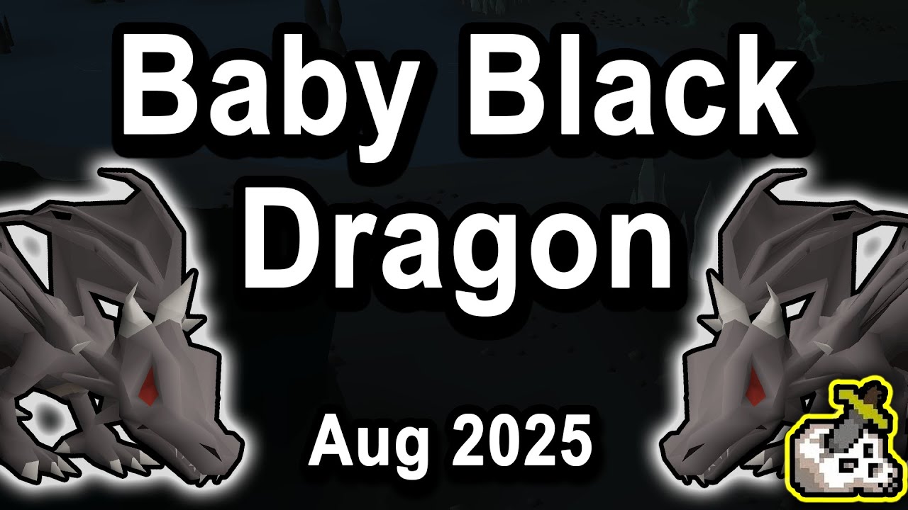 Baby Black Dragon Guide OSRS  |  August 2025