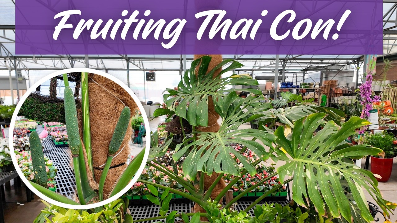 WILD Finds Plant Shopping at Calloway's!