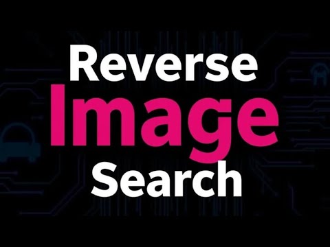 How to Use Reverse Image Search Like a Pro | Step-by-Step Guide