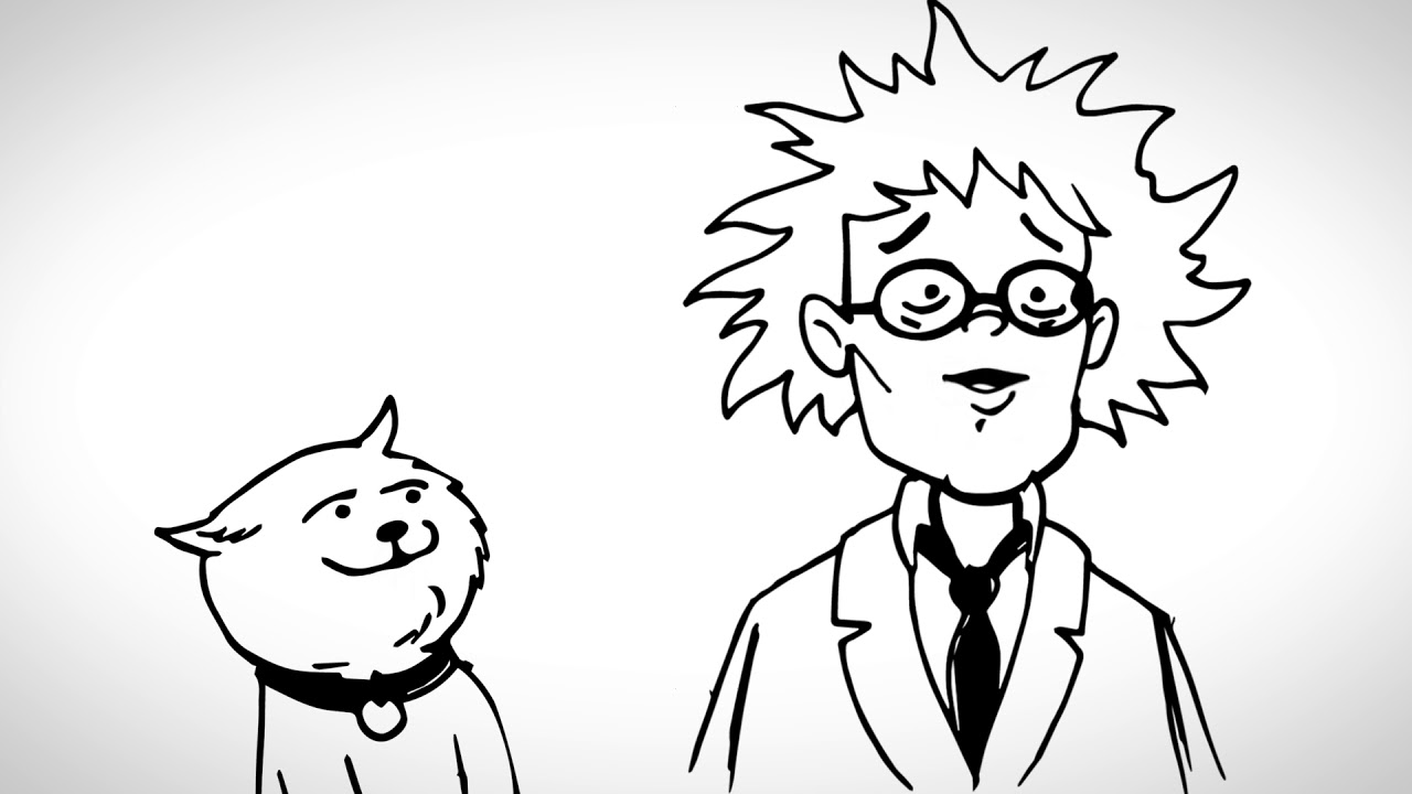 Experimental Design System Validation