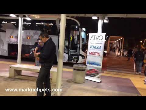 ATVO Bus From Venice Marco Polo Airport