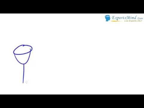 What is Wave Resonance - Optical Physics