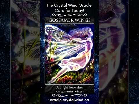Gossamer Wings