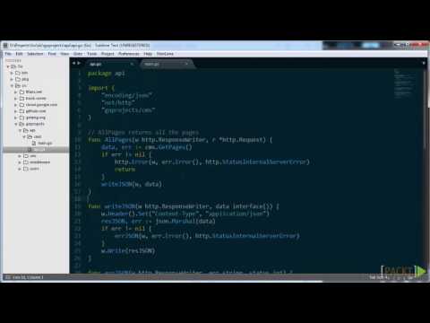 Learn Go Projects JSON in Go | packtpub com - Mind Luster
