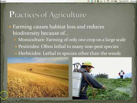 IB ESS Topic 3 3 Threats to Biodiversity