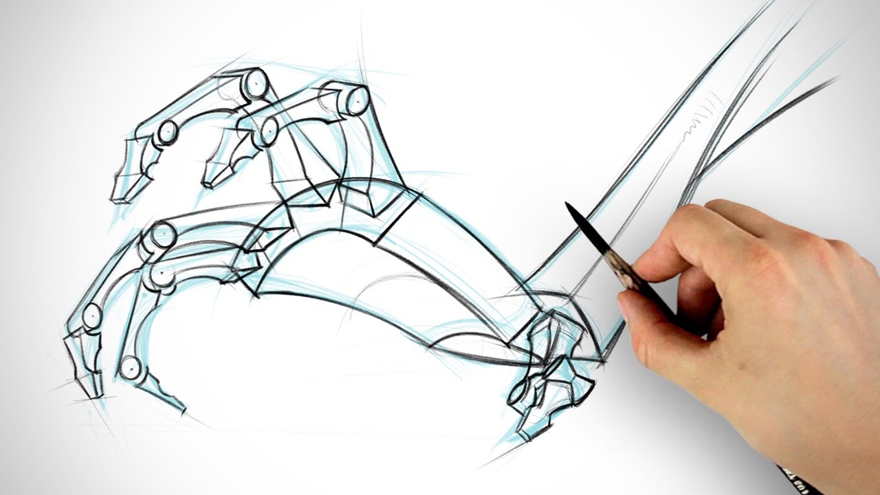 How to Draw Hands - Bone Assignment Example