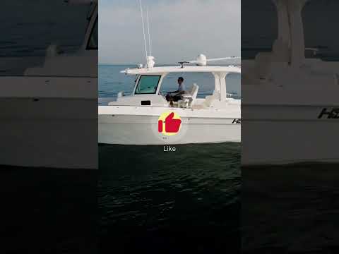 💥Marine Repair Center #florida #floridausa