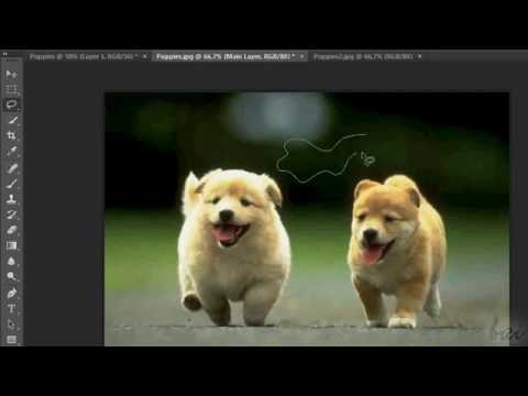 Photoshop CC Tutorial for Beginners COMPLETE YouTube 360p