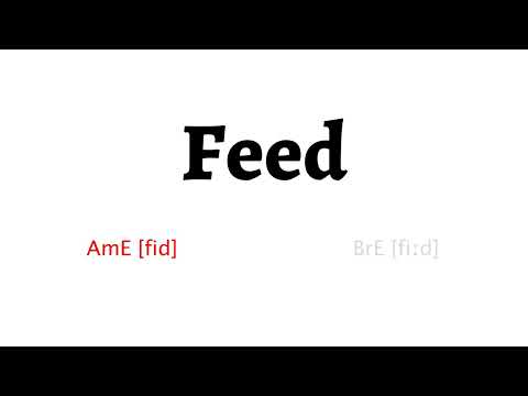 How to Pronounce feed in American English and British Englishfeed