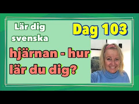 Dag 103 - Synonymer och ordförråd - Fem ord om dagen - A2 CEFR - Lär dig svenska