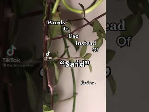 WORD TO USE INSTEAD OF ""SAID" | @the.teen.writer