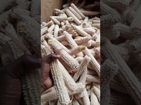 making your own chicken feeds