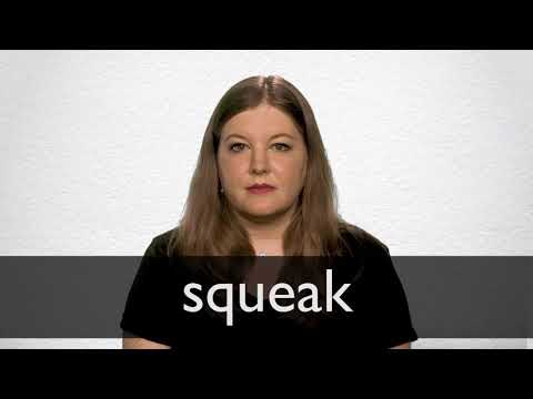 SQUEAK 释义 | 柯林斯英语词典