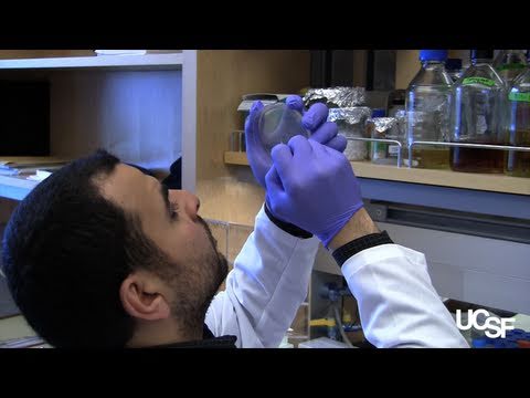 Mining the Human Body at UCSF with Michael Fischbach, PhD