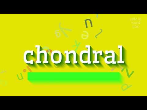 How to say "chondral"! (High Quality Voices)